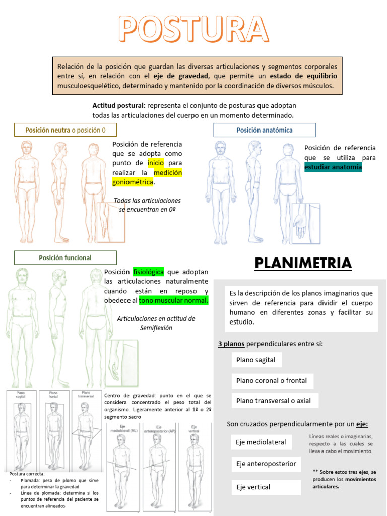 POSTURA | PDF | Mano | Articulación