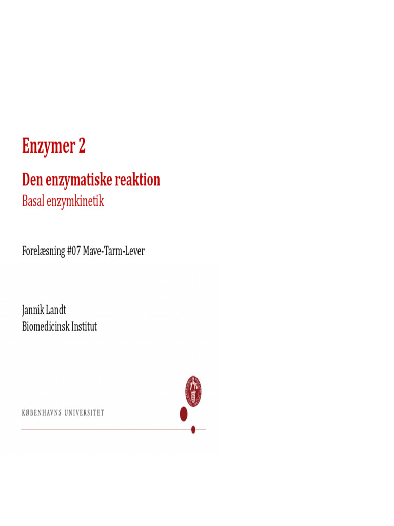 FB07 2023B Enzym 2 | PDF