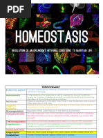 Homeostasis Notes Grade 12 | PDF | Homeostasis | Kidney