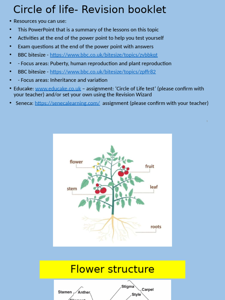 Circle of Life - Revision | PDF | Flowers | Pollination