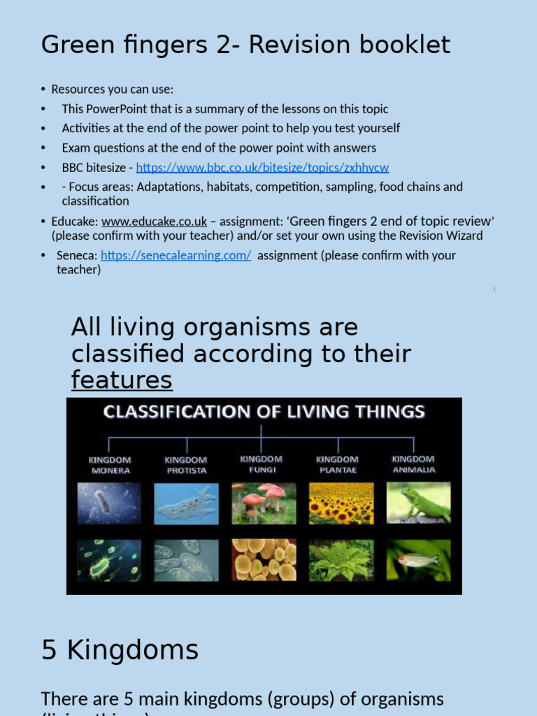 Green Fingers 2 Revision | PDF | Insecticide | Foods