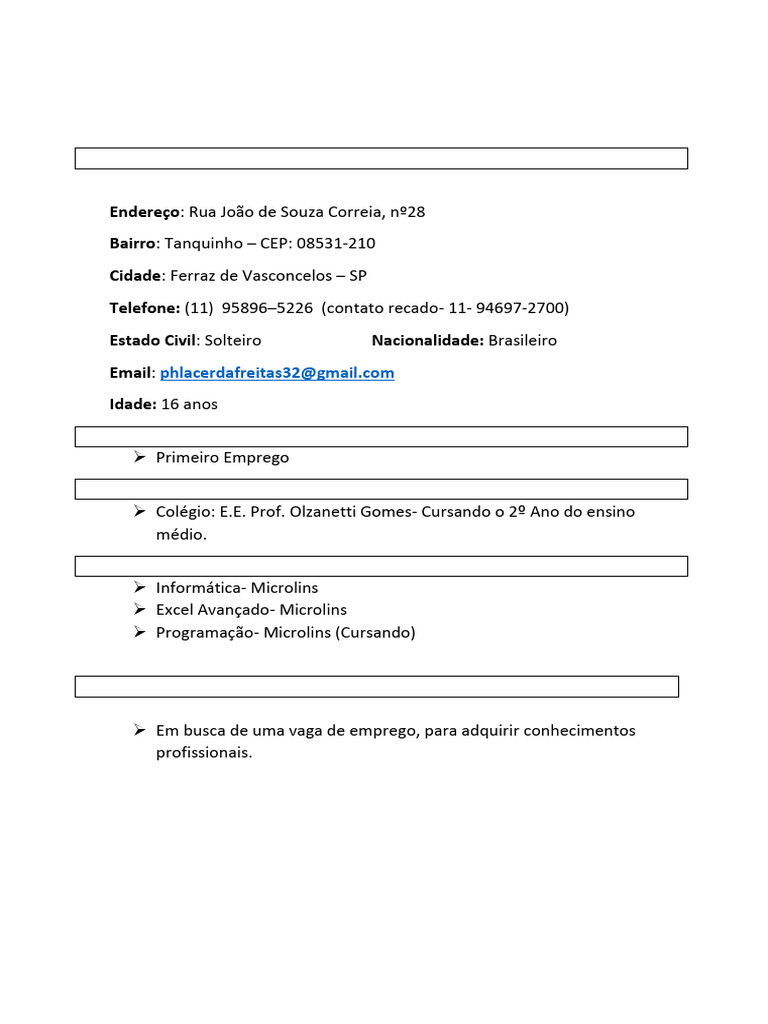 Curriculo Pedro Henrique | PDF