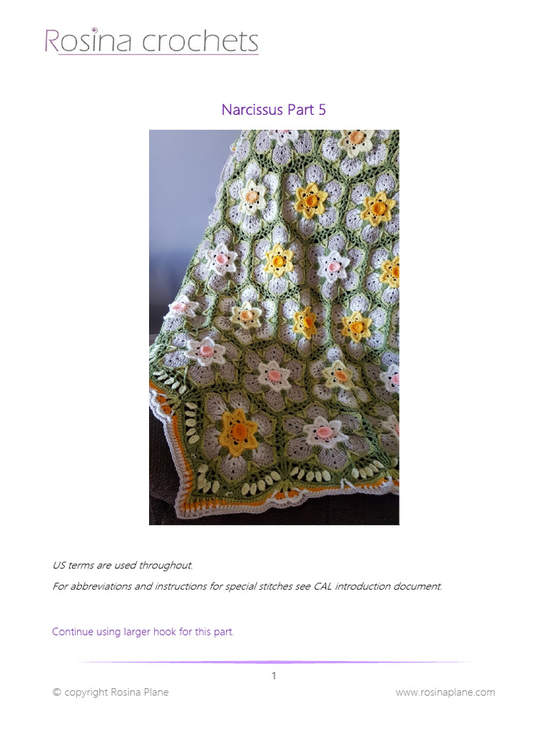 NarcissusCAL RosinaPlane Part5 Amended USterms | PDF