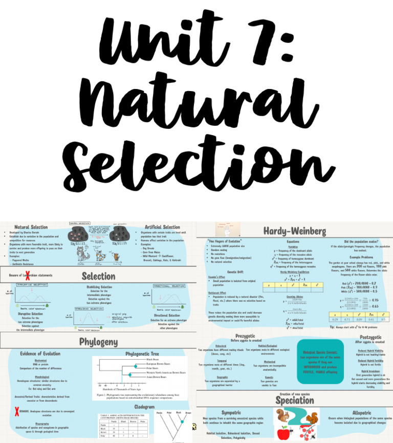 Unit 7 One-Pagers Ap Bio Penguins | PDF