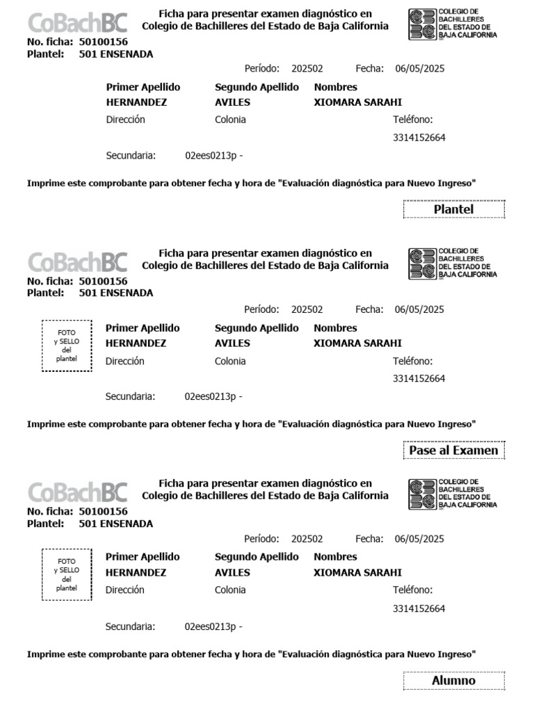 Telerik ReportViewer | PDF