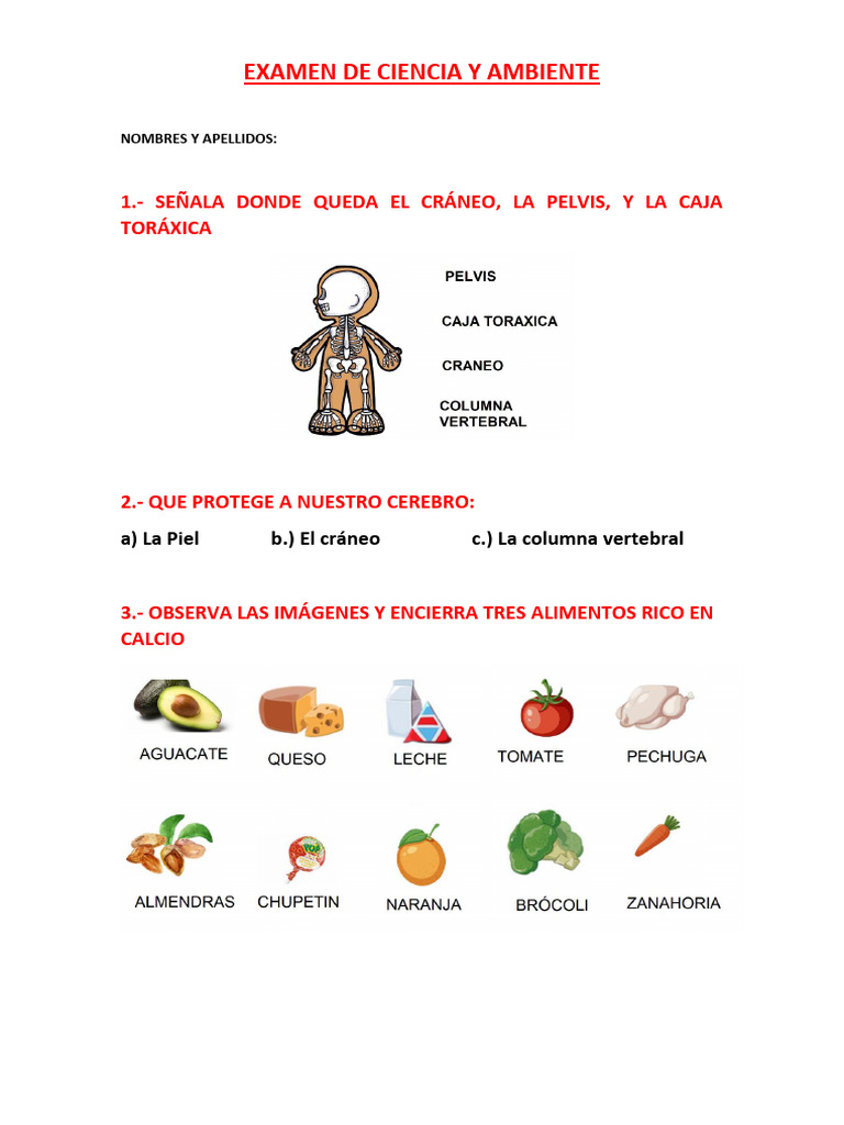 EXAMEN DE CIENCIA Y AMBIENT1 Primer Grado | PDF