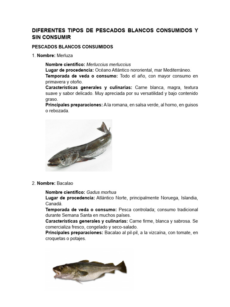 Diferentes Tipos de Pescados Blancos Consumidos y Sin Consumir | PDF ...