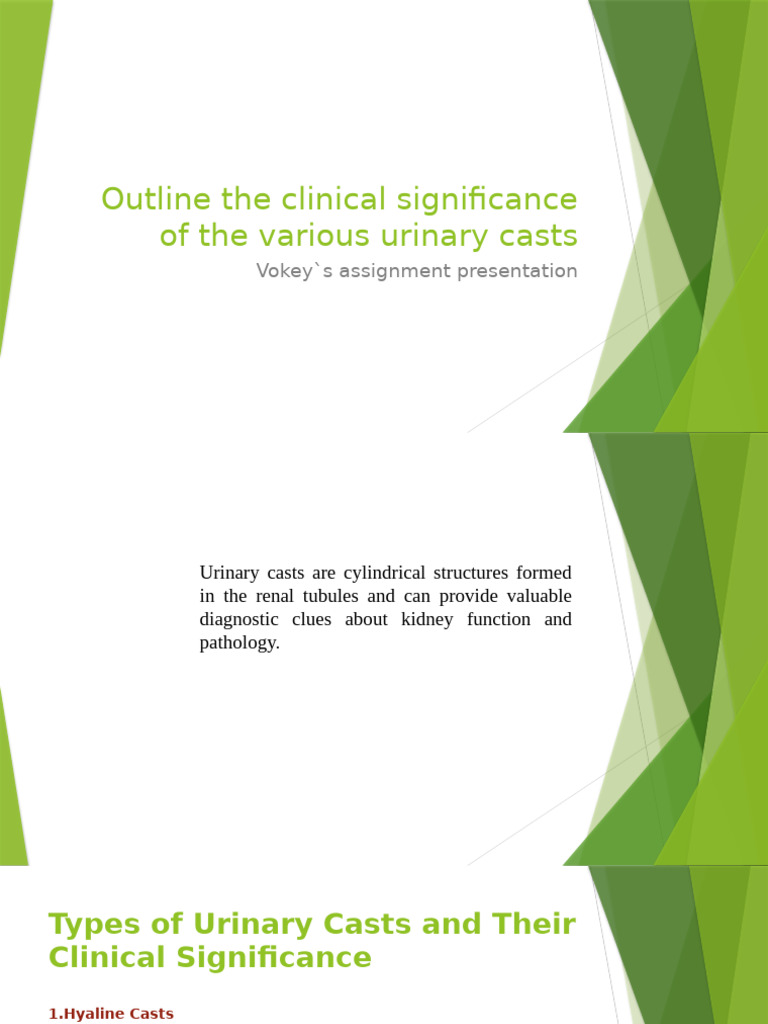 Clinical Significance of Urinary Casts | PDF | Kidney Disease | Kidney