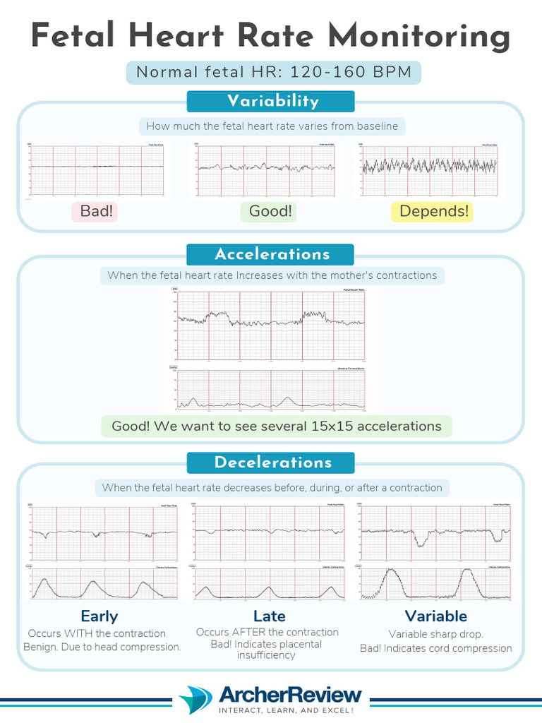 Fetal Heart Rate Monitoring Guide | PDF
