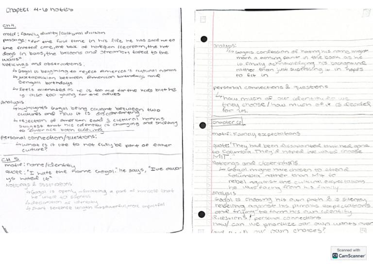 Notes On The Namesake | PDF