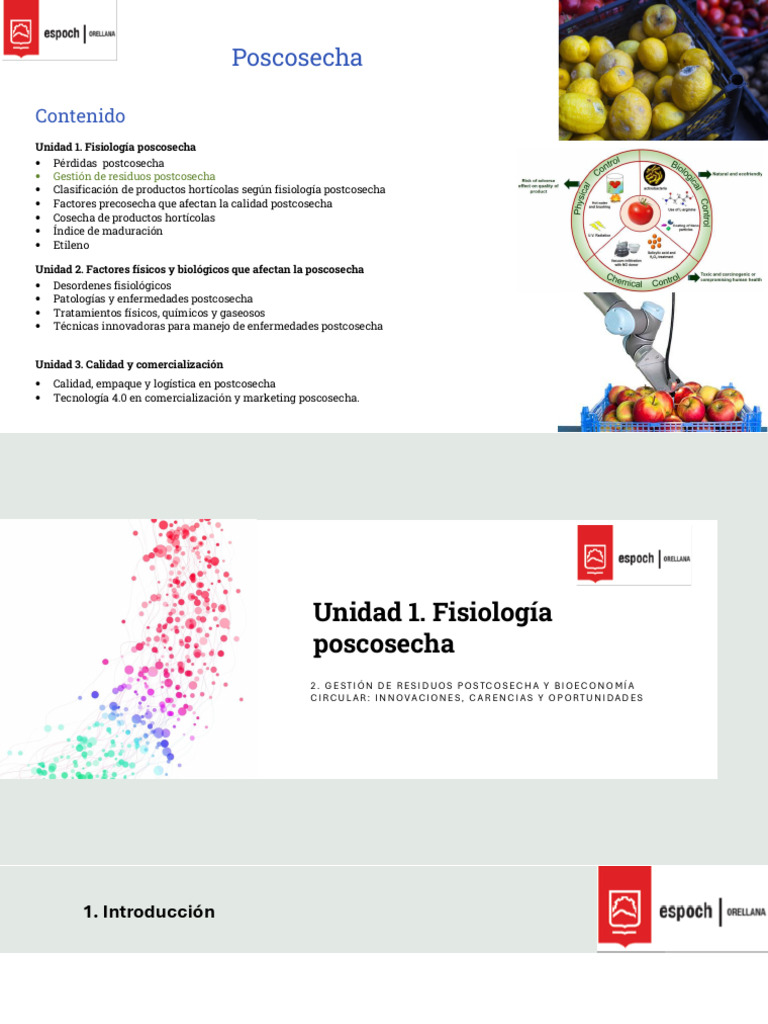 Gestion de Residuos Poscosecha | PDF | Residuos | Cuestiones ambientales