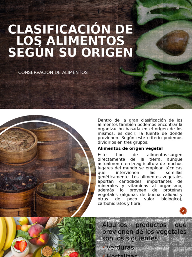 Clasificación De Los Alimentos Según Su Origen Pdf Nutrientes