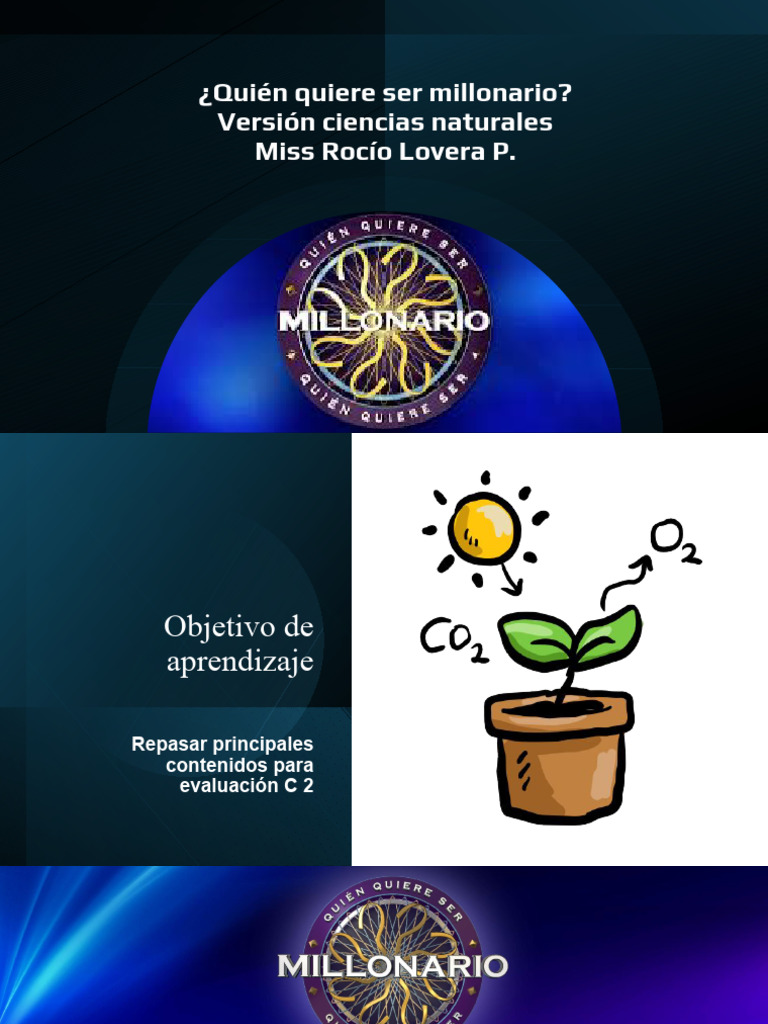 Repaso Prueba Cs. Naturales | PDF | Plantas | Hoja