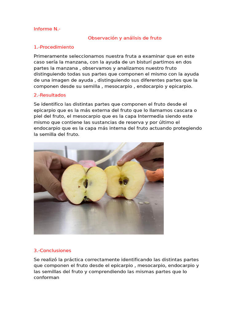 Análisis de las partes de la manzana | PDF