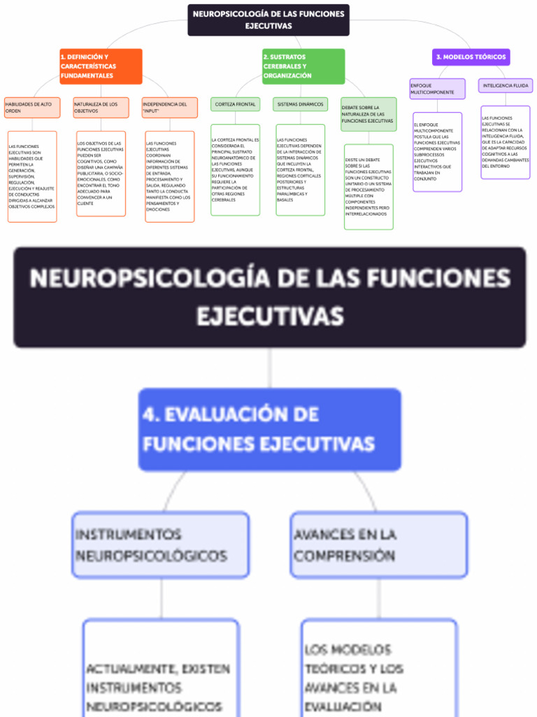 Neuropsicología De Las Funciones Ejecutivas Pdf