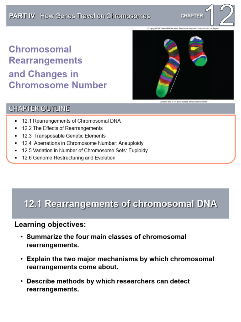 유전학의 이해 13-Chapter12-Chromosome Rearrangement | PDF | Transposable Element | Genome