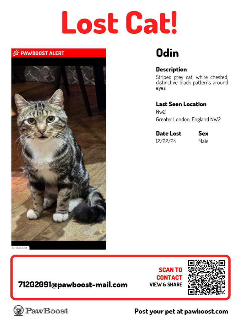 Lost Male Striped Cat in NW2 | PDF