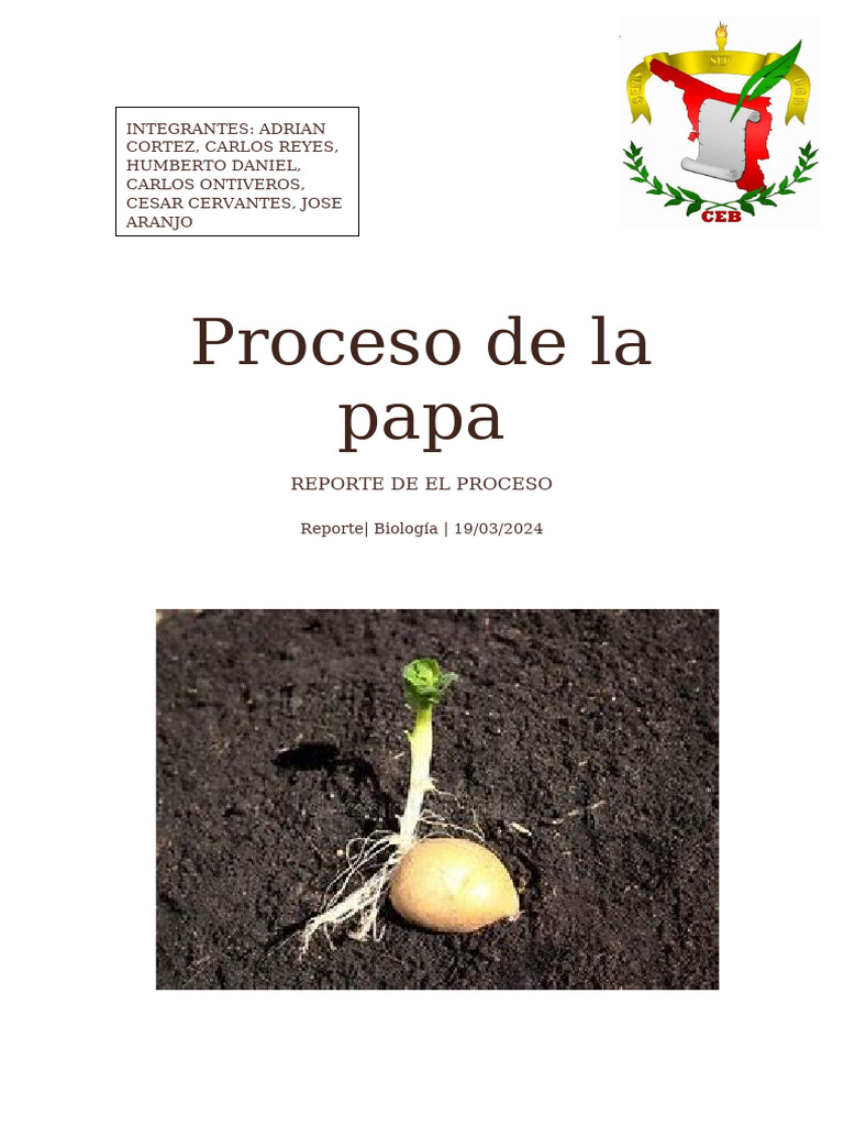 Experiment o Papa Fall I Do | PDF