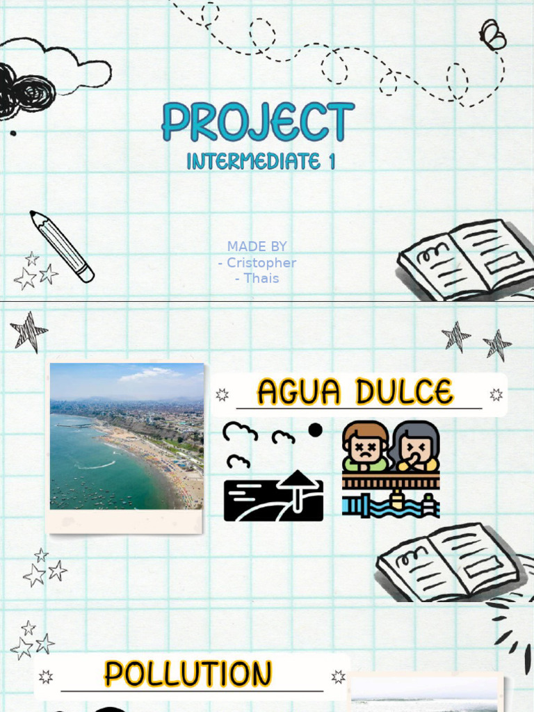 Project Intermediate 1 | PDF