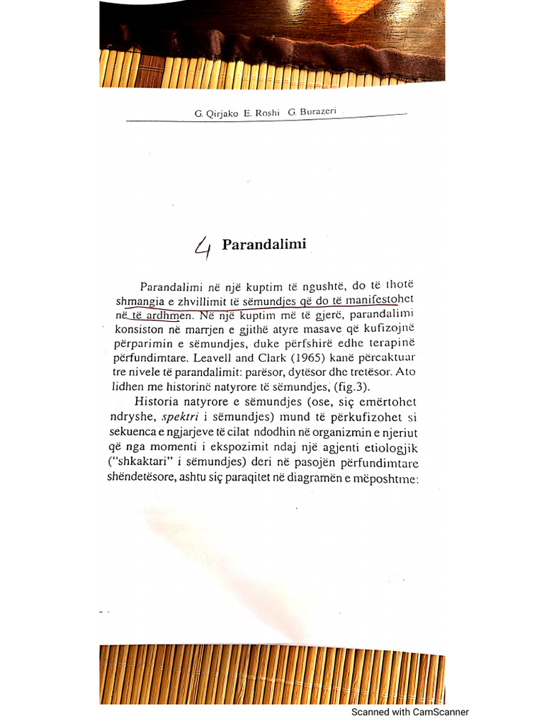 4 Parandalimi | PDF