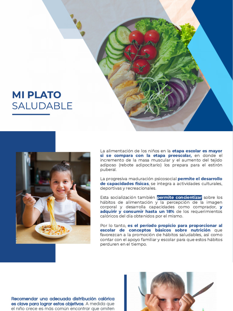 Mi Plato Saludable | PDF | Panes | Almuerzo