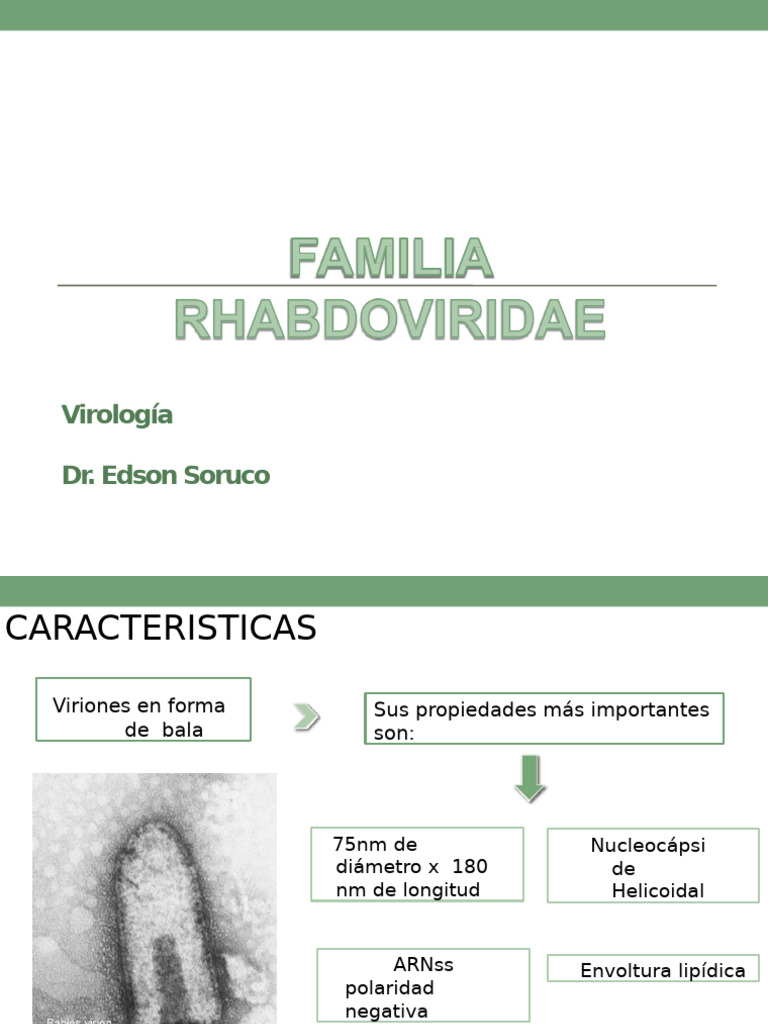 Rabia | PDF | Rabia | Virus