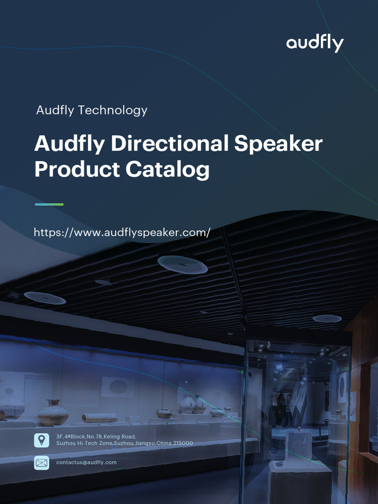 Audfly Wall Mounted Directional Speakers Model B Spec - 1727154642 ...