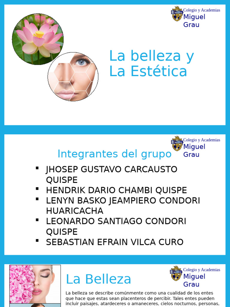 Belleza y Estética: Conceptos Clave | PDF | Belleza | Estética