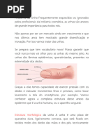 Escarotomia para Queimaduras: Guia Prático | PDF | Queimadura | Unha