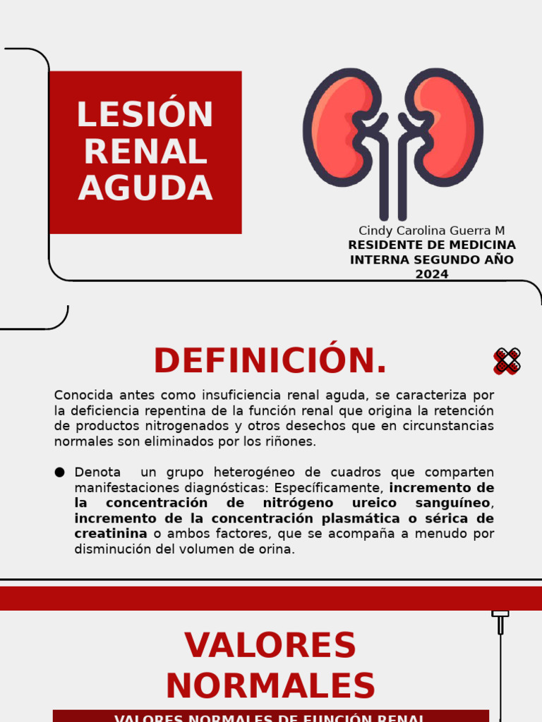 Causas y Manejo de Lesión Renal Aguda | PDF | Medicina Interna ...
