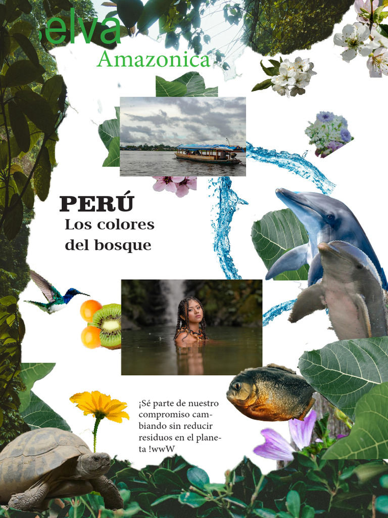 Collage de la Selva Amazónica en Perú | PDF