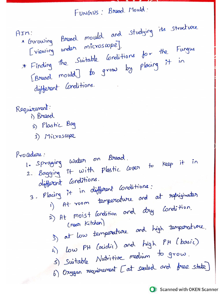 Bio Project | PDF