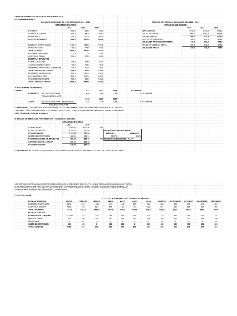 Proyecto Fe1 - Balance General | PDF | Estado de resultados | Economias