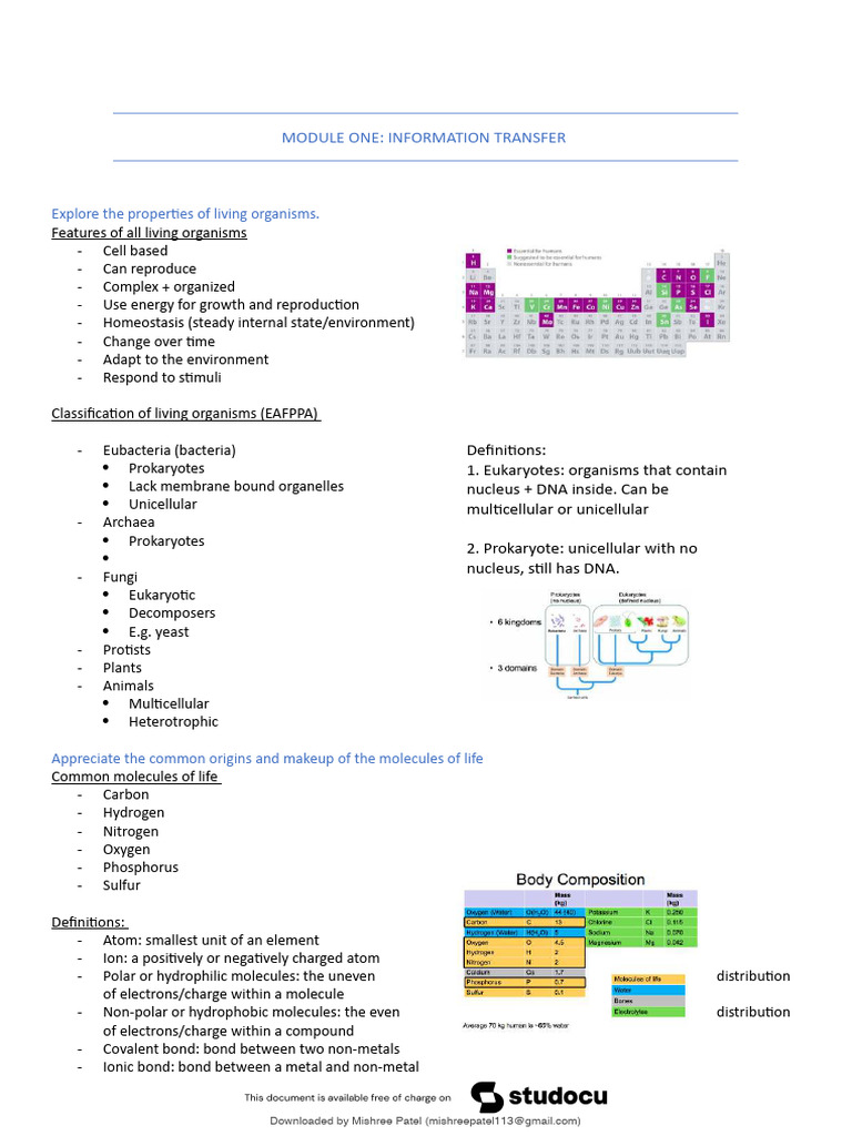 Module 1- Molecule Transfer | PDF | Dna Replication | Dna