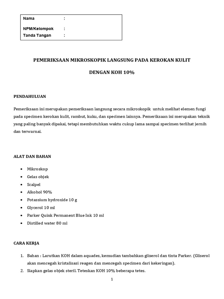 Pemeriksaan KOH | PDF