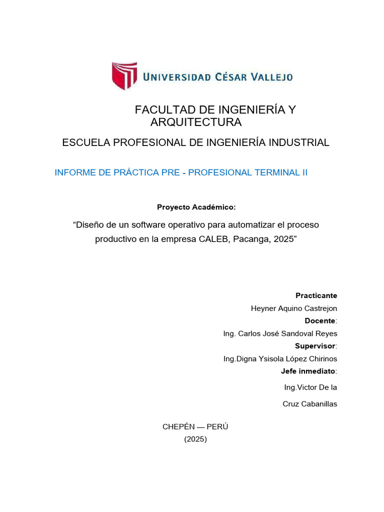 Segundo Avanze PPP | PDF | Software | Business