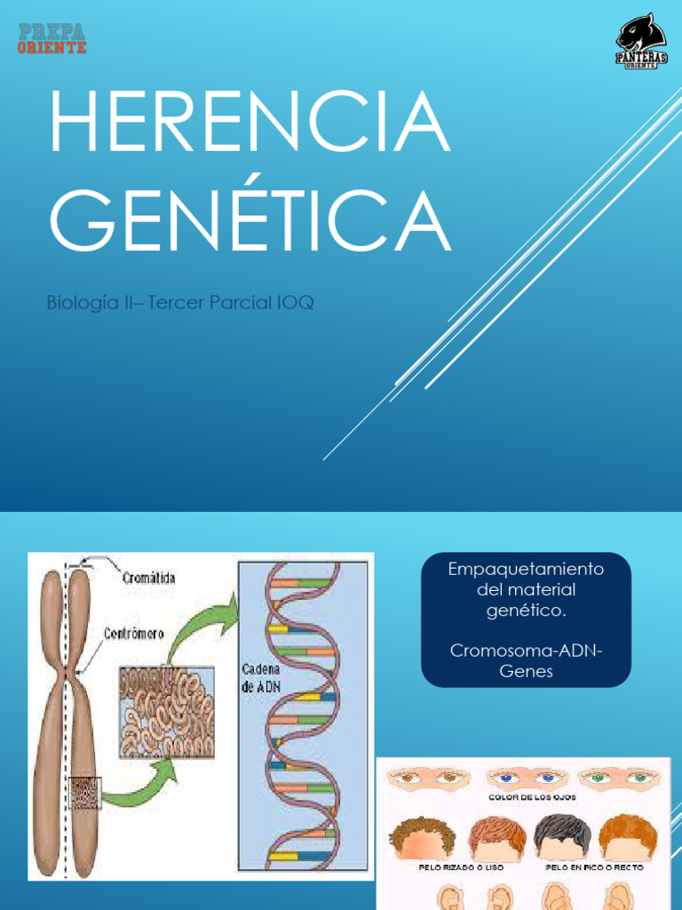 Presentación GENÉTICA | PDF
