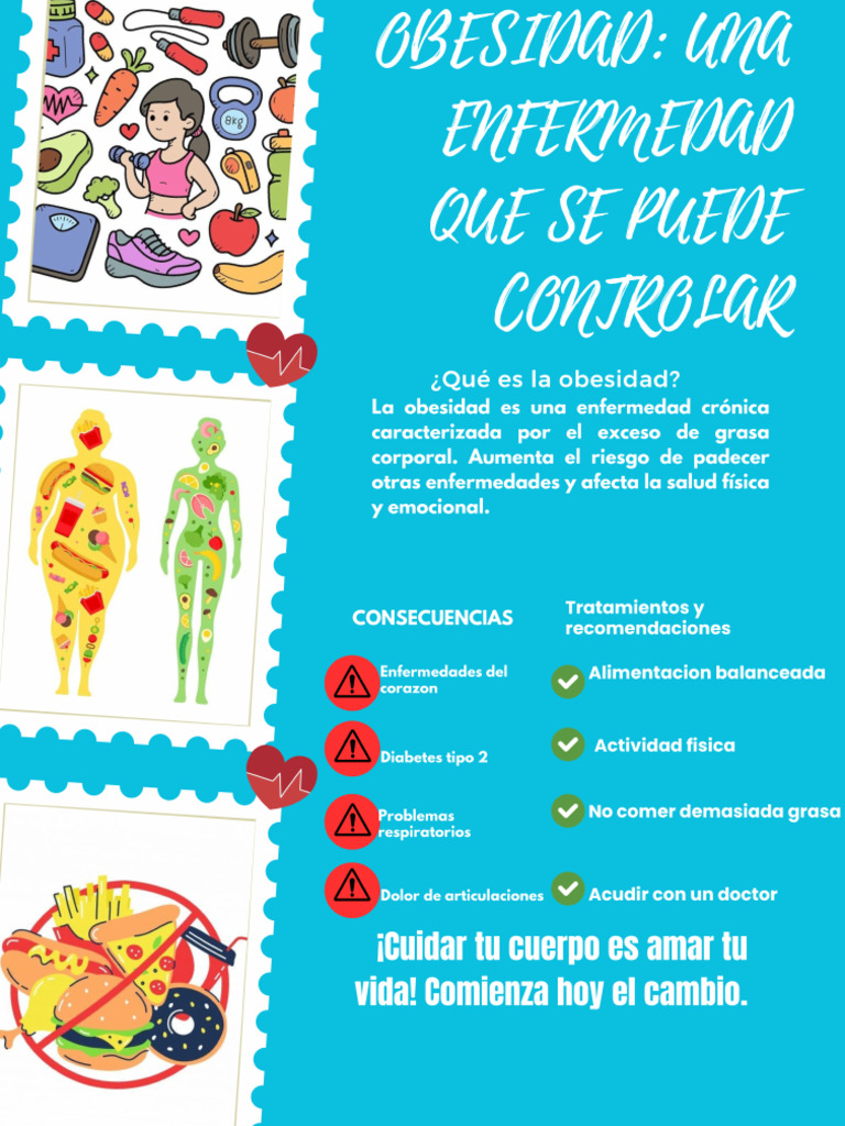 Cartel de La Obesidad.pdf 2 | PDF