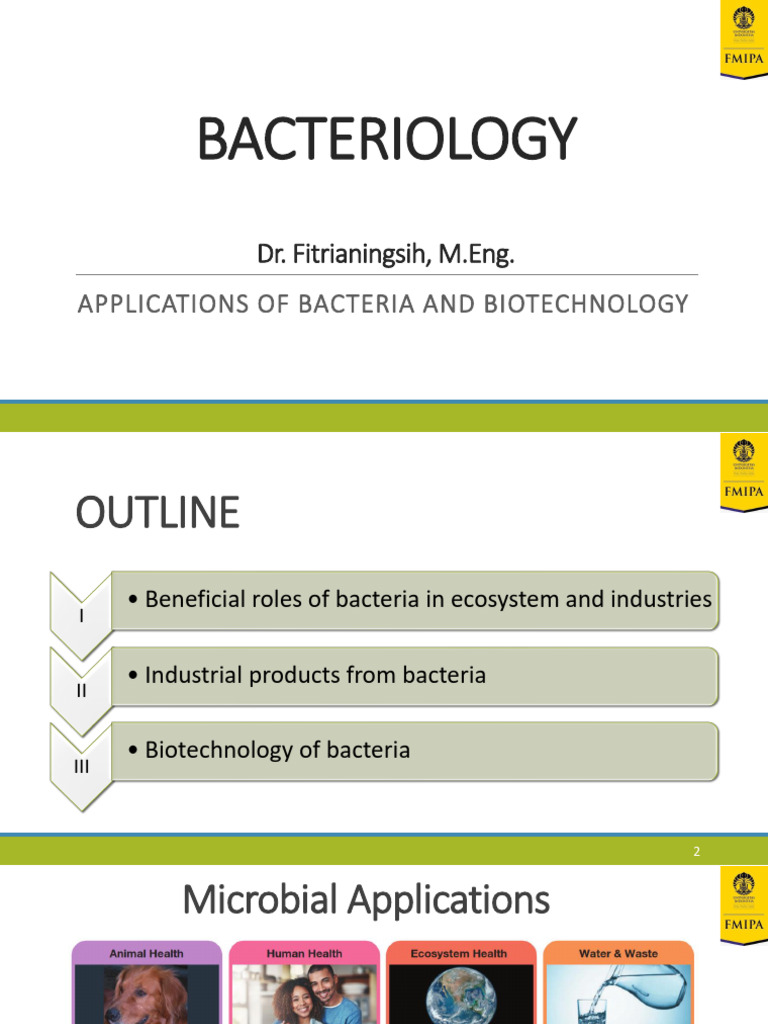 Topic 11 - Beneficial Bacteria and Biotechnology - Handout | PDF ...