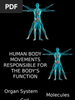 The Basic Natural Movements - Locomotor and Non Locomotor | PDF | Self ...