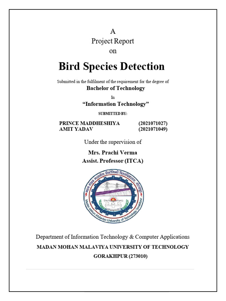First Page Report | PDF