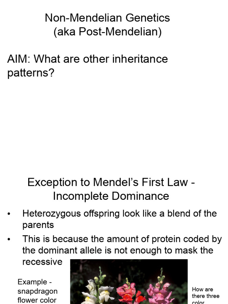 My Copy of Beyond Mendel 2024 | PDF | Dominance (Genetics) | Genetic ...