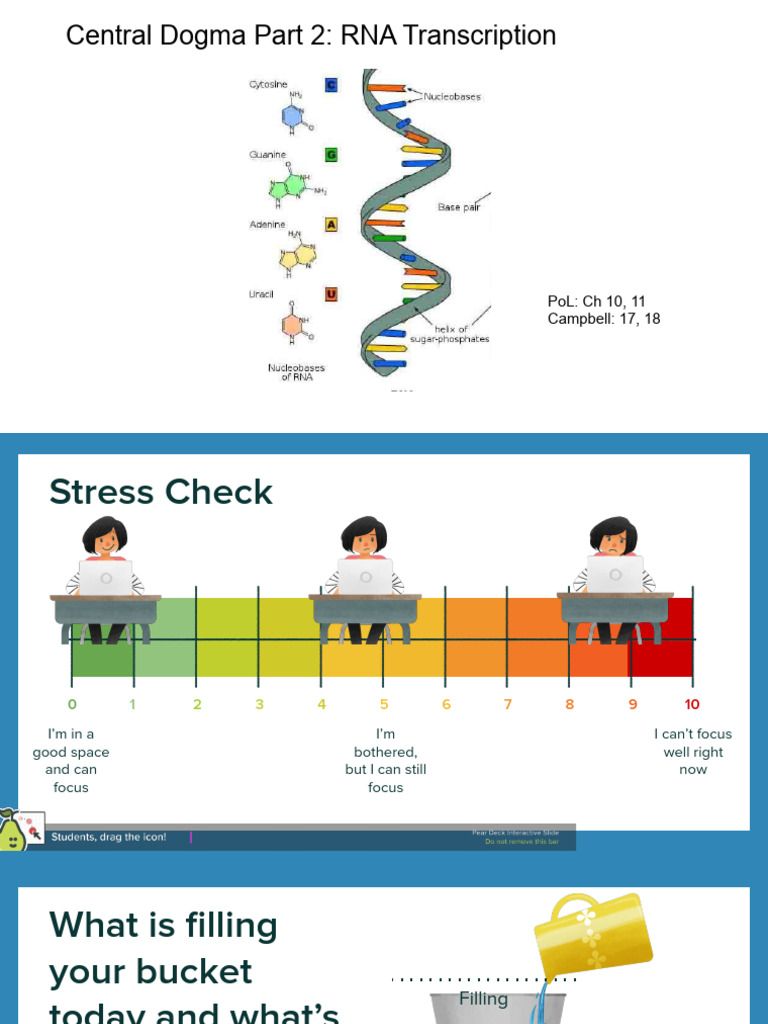 Central Dogma Part 2 - RNA Transcription | PDF | Rna | Messenger Rna