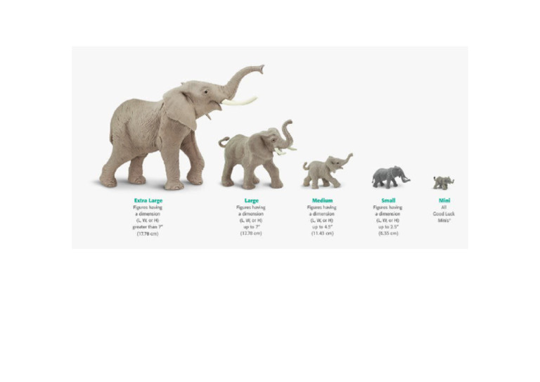 Life Cycle Elephant | PDF