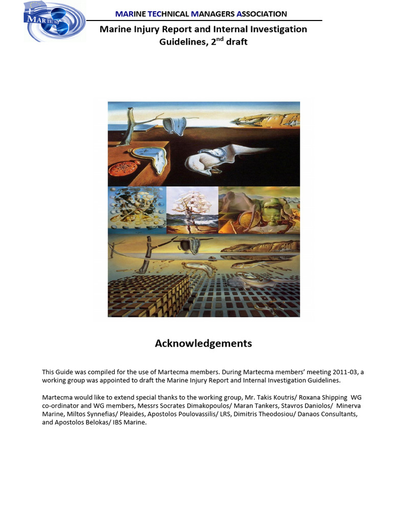 Marine Injury Reporting Guidelines | PDF