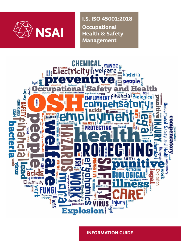 MD-19-02 Rev 5 I.S - ISO 45001 2018 | PDF | Risk | Occupational Safety ...