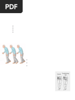 Tipos de Marcha | PDF | Sistema musculoesquelético | Enfermedades y ...