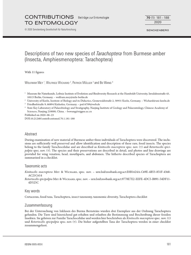 Descriptions of Two New Species of Tarachoptera From Burmese Amber (Insecta, Amphiesmenoptera ...