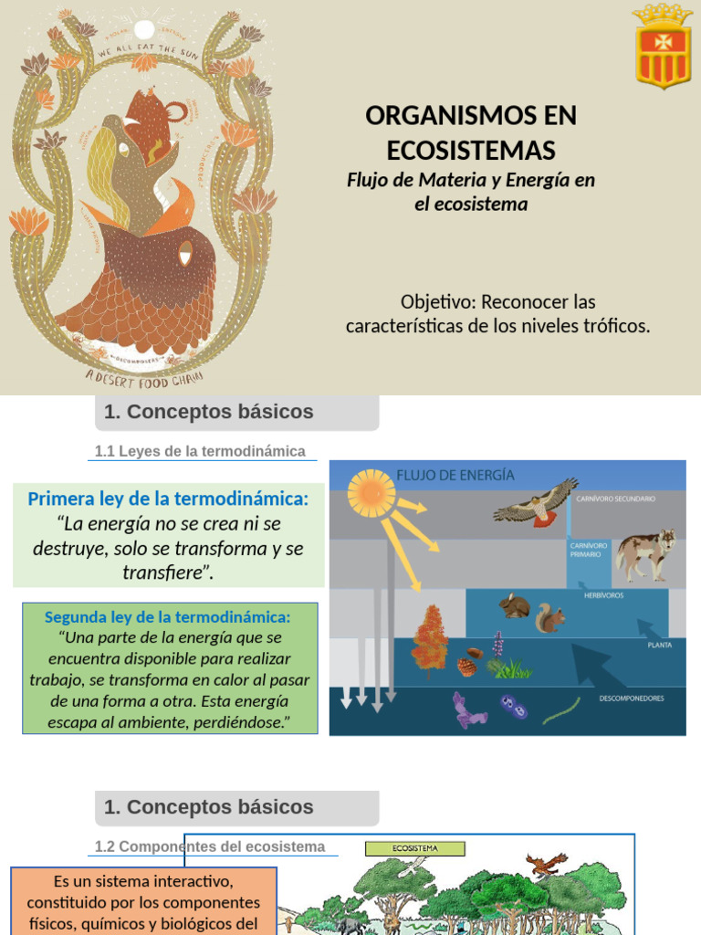 Niveles Tróficos y Energía en Ecosistemas | PDF | Red alimentaria ...