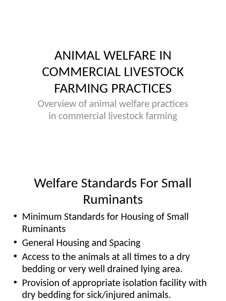 Animal Welfare Presentation | PDF